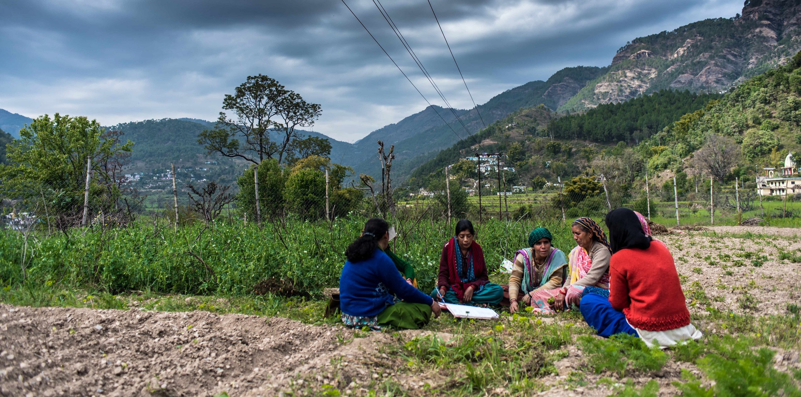 UGVS – (IFAD-REAP)